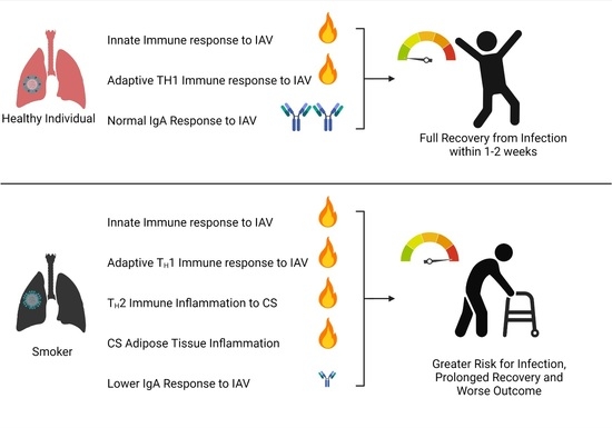 Pathogens | Free Full-Text | Effects of Cigarette Smoking on Influenza ...