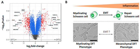 Pathogens | Special Issue : Infectious Causes of Cancers: A Novel ...