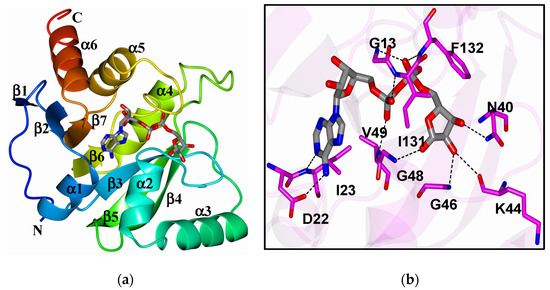 The Conserved Macrodomain Is a Potential Therapeutic Target for ...