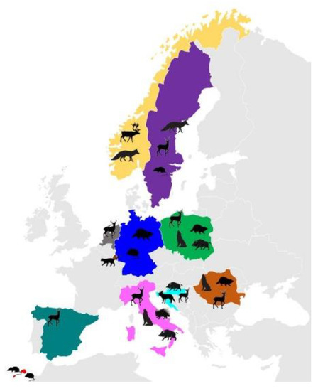 Giardia duodenalis in Wildlife: Exploring Genotype Diversity in Italy ...