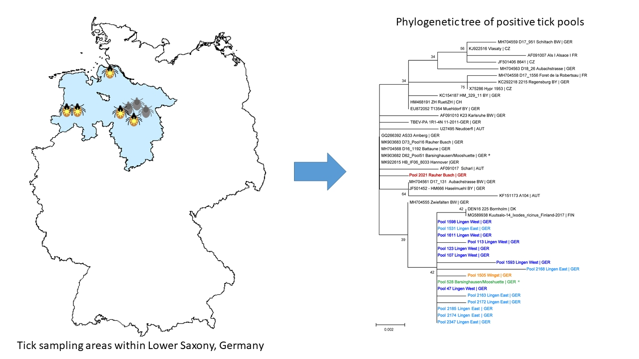 Pathogens | Free Full-Text | New and Confirmed Foci of Tick-Borne ...