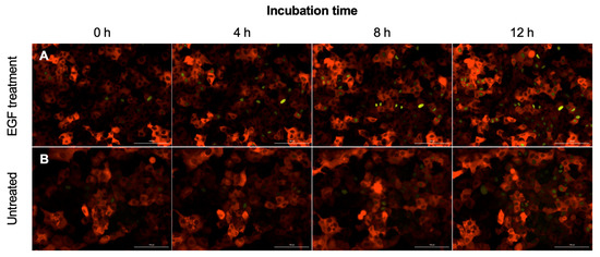 Engineered Cell Line Imaging Assay Differentiates Pathogenic from Non ...