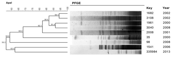 Phenotypic and Molecular Characterization of Nonfermenting Gram ...