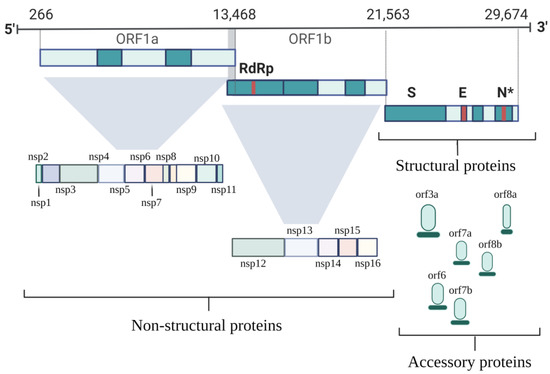 SARS-CoV-2: An Overview of the Genetic Profile and Vaccine ...