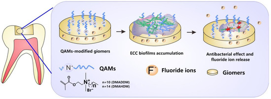 Novel Giomers Incorporated with Antibacterial Quaternary Ammonium ...