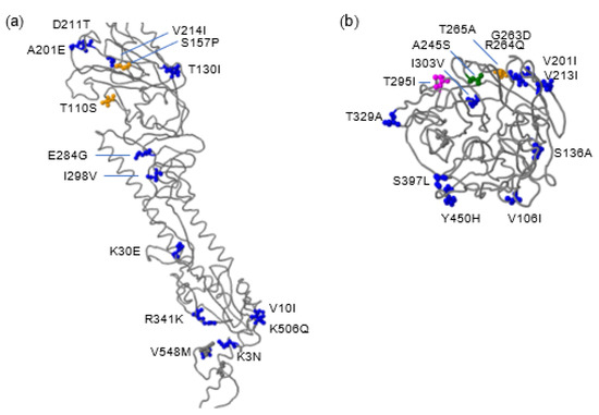 Evolutionary and Mutational Characterization of the First H5N8 Subtype ...