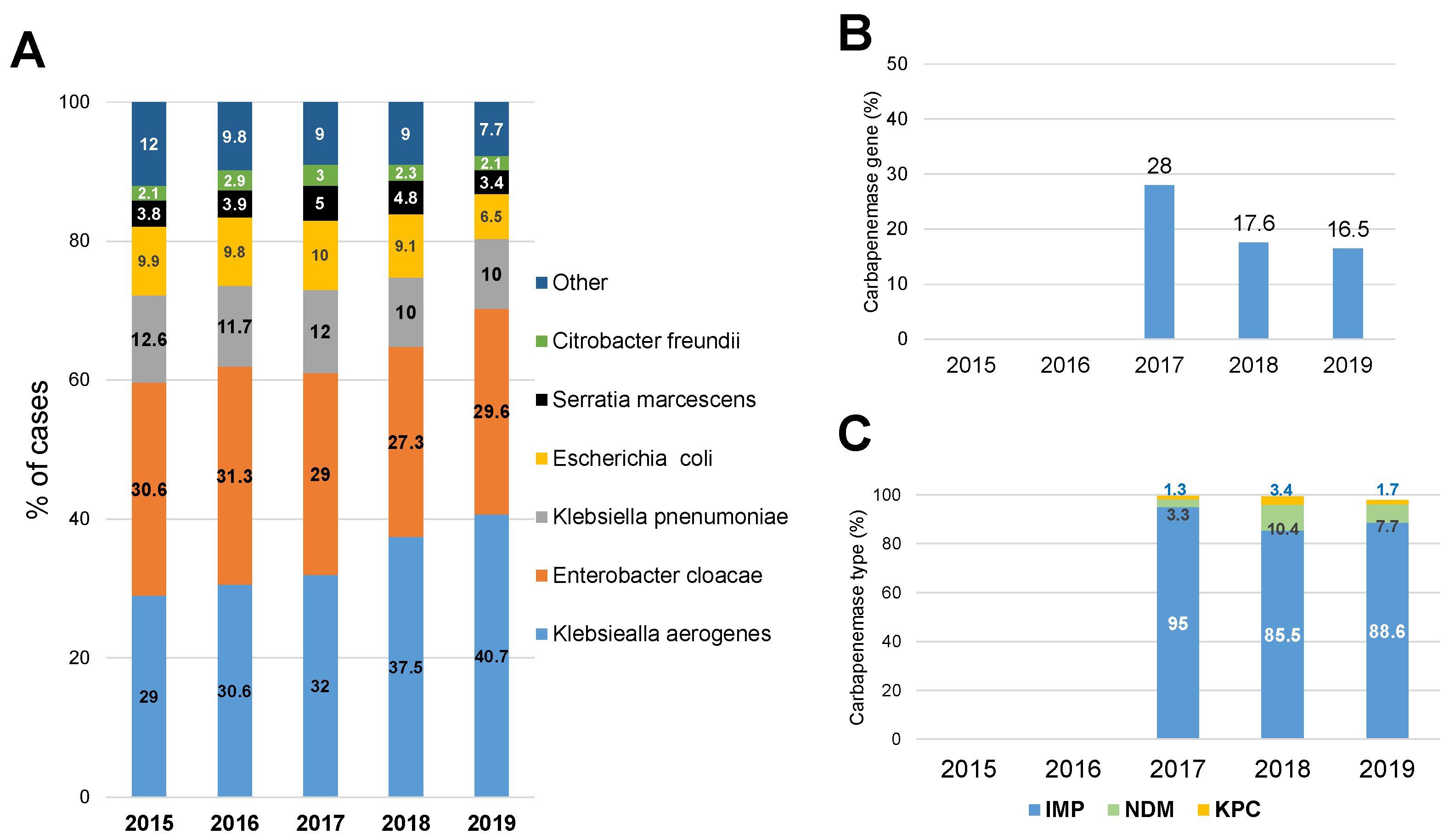 The Predominance of Klebsiella aerogenes among Carbapenem-Resistant ...