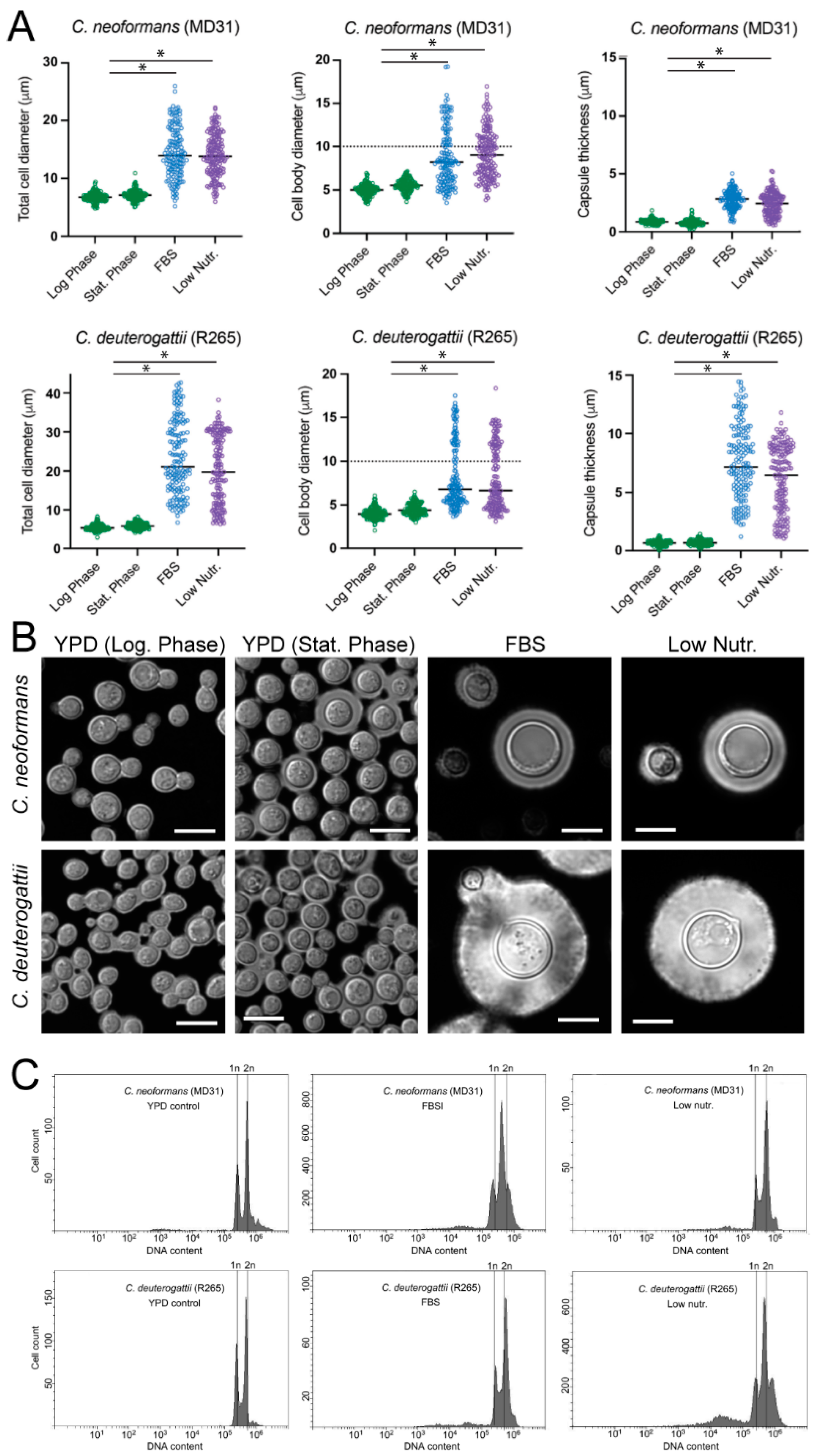 Establishing Minimal Conditions Sufficient for the Development of Titan ...