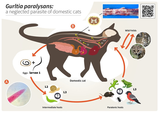 Pathogens | An Open Access Journal from MDPI