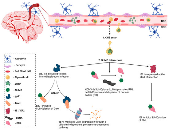 Pathogens | An Open Access Journal from MDPI
