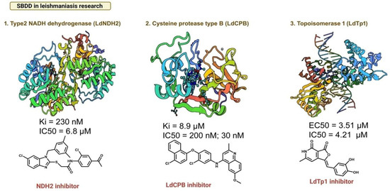 Development of Novel Anti-Leishmanials: The Case for Structure-Based ...