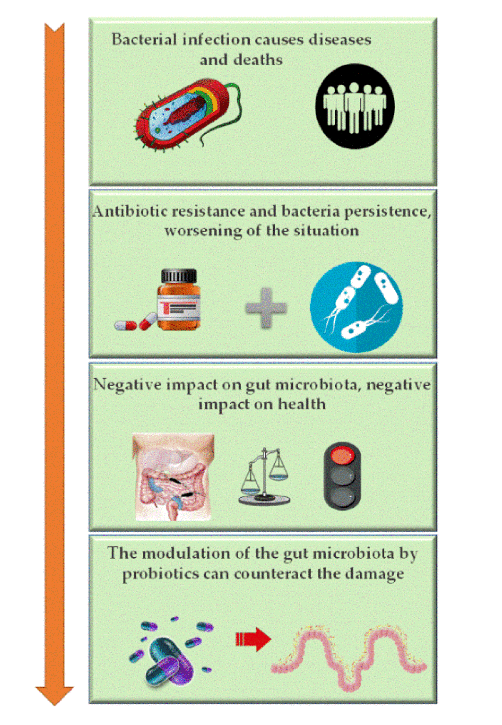 Pathogens | Free Full-Text | Effect of Probiotics on Host-Microbiota in Bacterial Infections