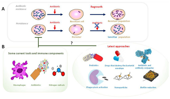 Effect of Probiotics on Host-Microbiota in Bacterial Infections