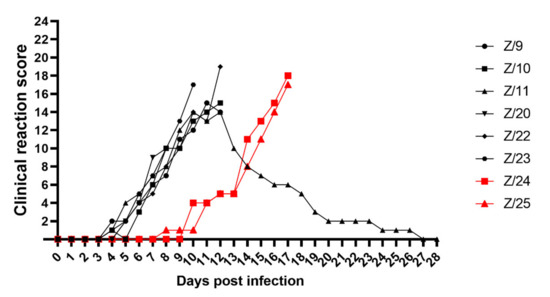 Pathogens | Free Full-Text | The Experimental Infection of Goats with ...