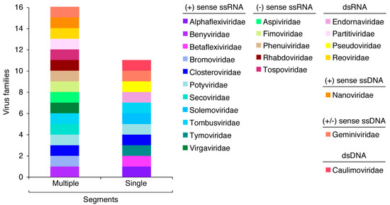 Determinants of Virus Variation, Evolution, and Host Adaptation