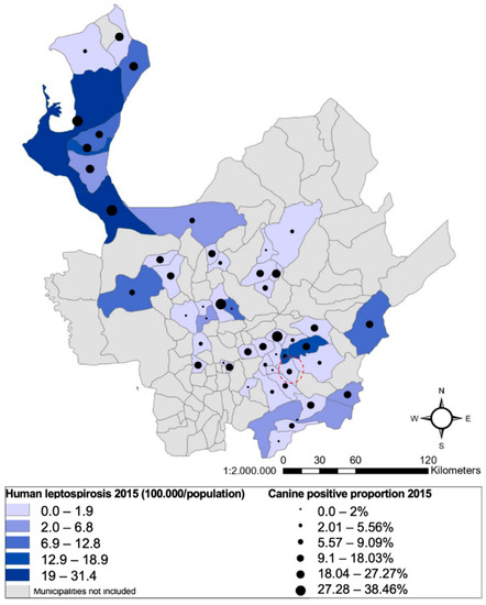 Pathogens | Free Full-Text | Canine Leptospirosis in a Northwestern ...