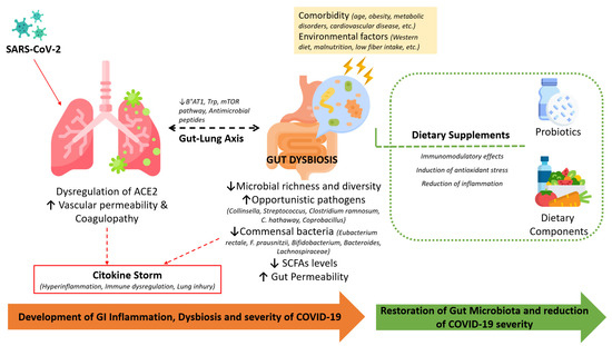 Pathogens | Free Full-Text | Gut Microbiota and COVID-19: Potential Implications for Disease ...
