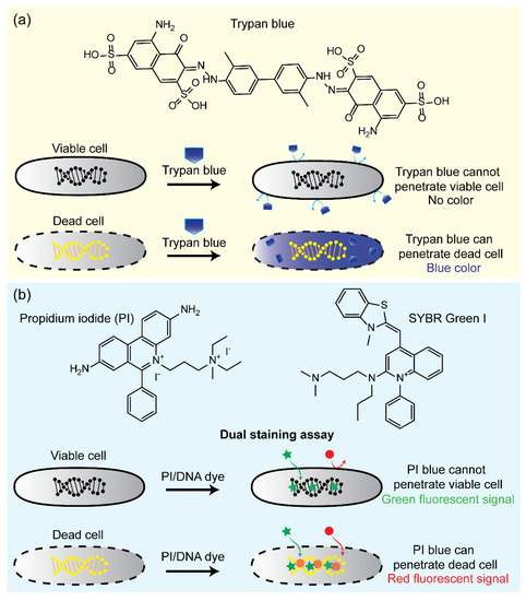 Recent Methods for the Viability Assessment of Bacterial Pathogens ...