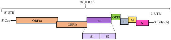 Current State of Molecular and Serological Methods for Detection of ...