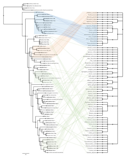 Unlocking the Hidden Genetic Diversity of Varicosaviruses, the ...