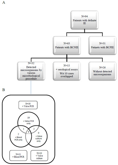 Molecular and Serological Diagnostic Approach to Define the ...