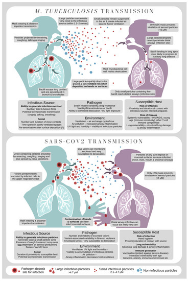 Mycobacterium tuberculosis Transmission in High-Incidence Settings—New ...