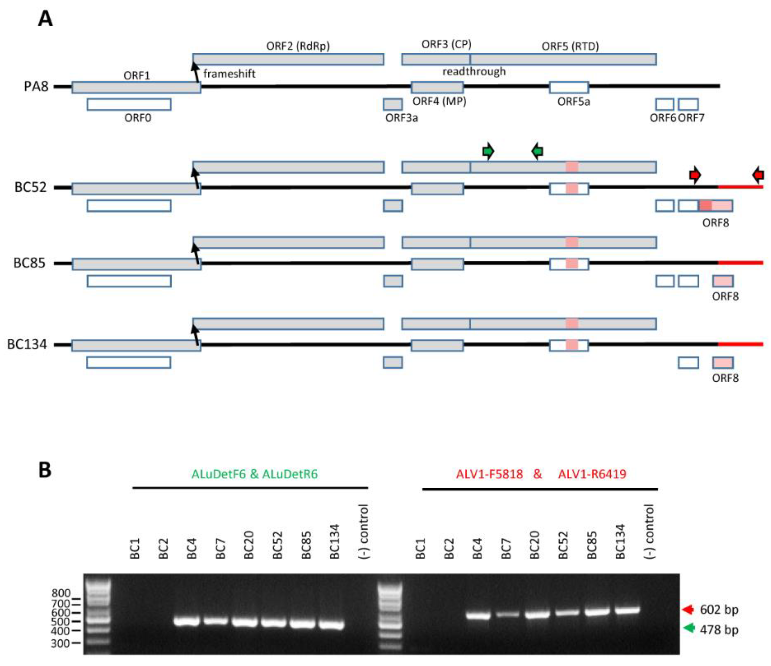 Characterizing the Virome of Apple Orchards Affected by Rapid Decline ...
