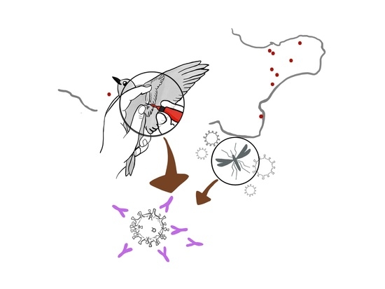 Pathogens | Free Full-Text | Serological Survey of Mosquito-Borne ...