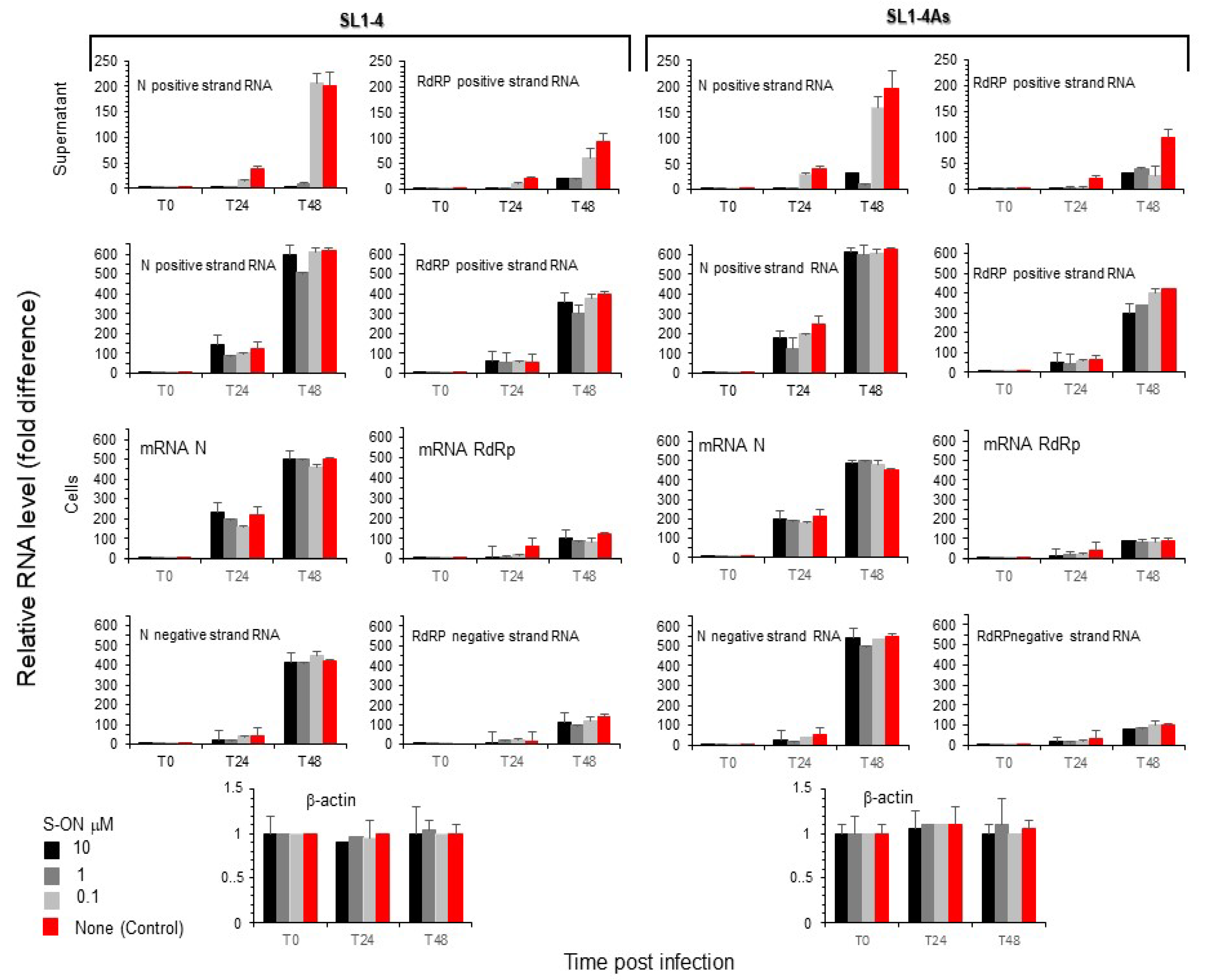Antiviral Activity of Oligonucleotides Targeting the SARS-CoV-2 Genomic ...