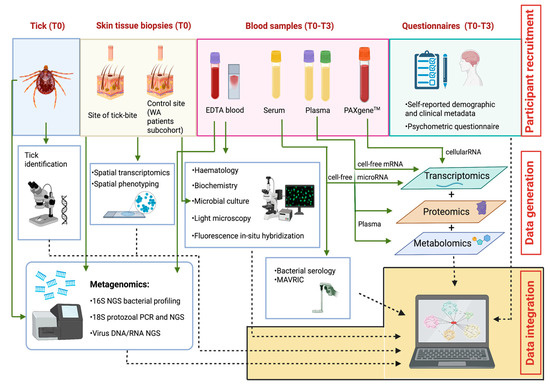 The Troublesome Ticks Research Protocol: Developing a Comprehensive, Multidiscipline Research ...