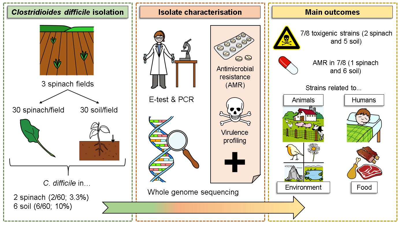 Pathogens | Free Full-Text | Detection and Genomic Characterisation of ...