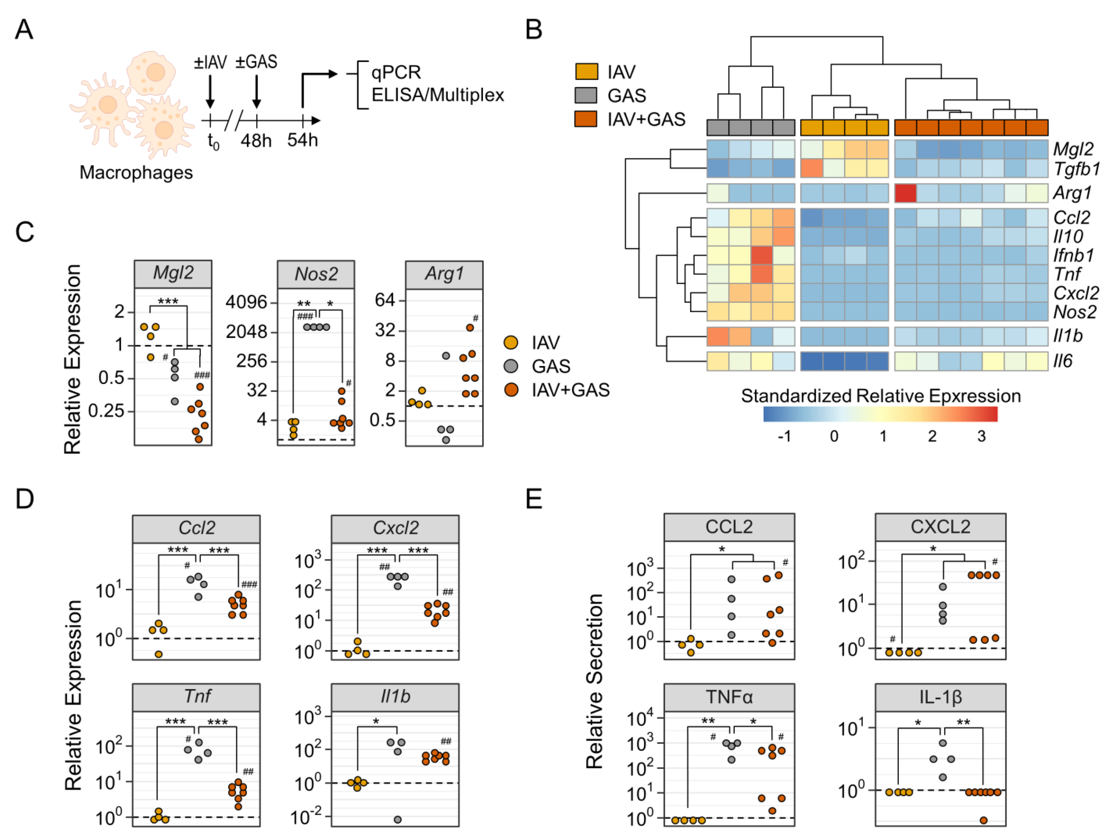 Influenza A Virus Exacerbates Group A Streptococcus Infection and ...