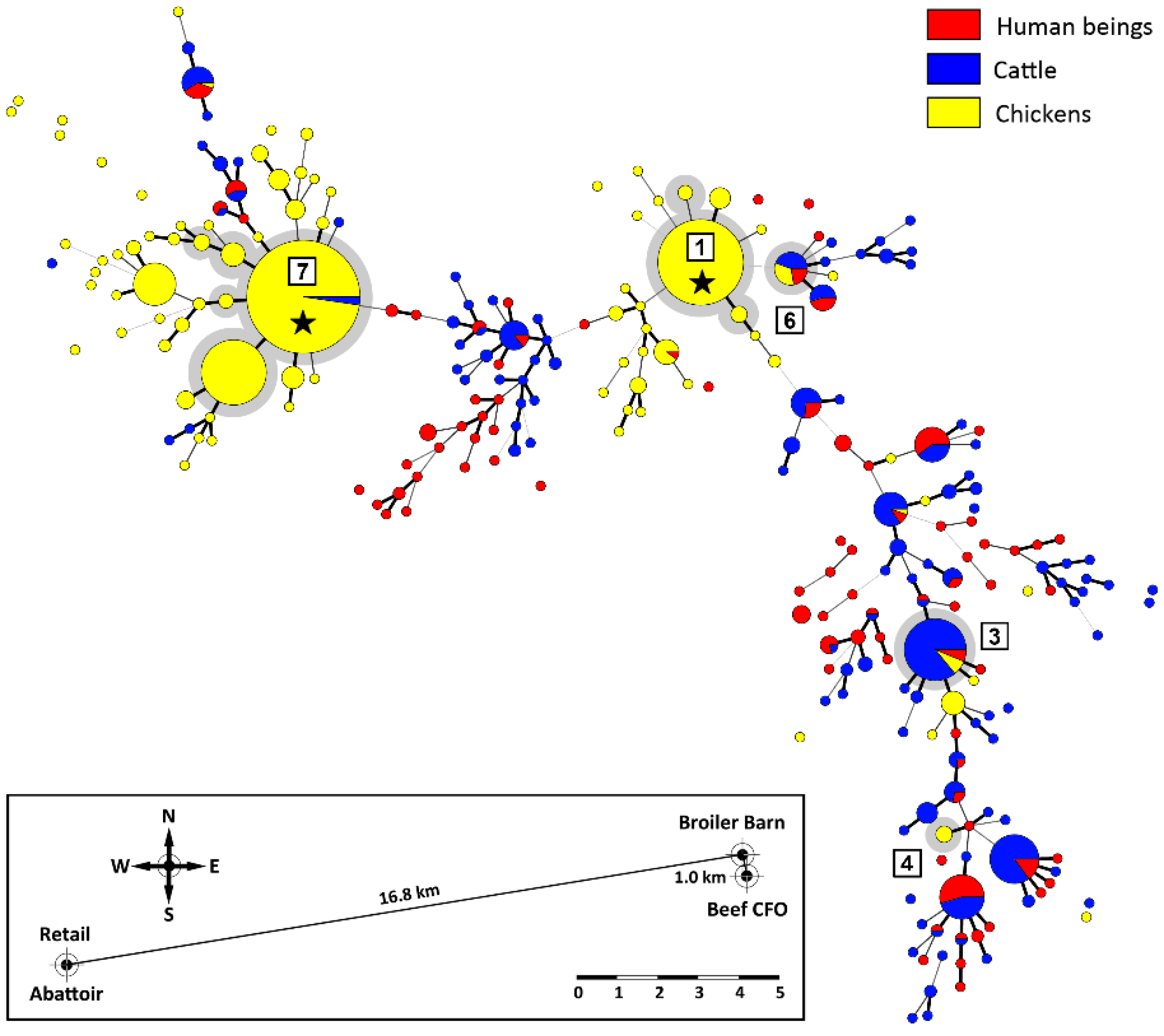 Pathogens | Free Full-Text | Molecular Epidemiological Evidence ...