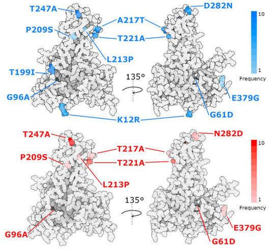 Isolation of a New Infectious Pancreatic Necrosis Virus (IPNV) Variant ...