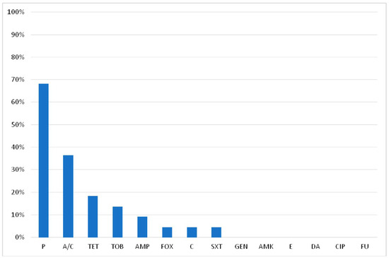 Prevalence, Infectious Characteristics and Genetic Diversity of ...