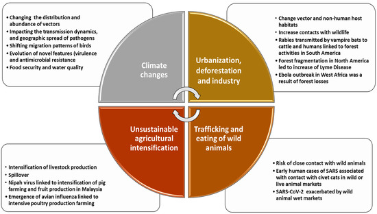An Overview of Anthropogenic Actions as Drivers for Emerging and Re ...