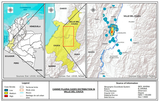 First Report of Acanthocheilonema reconditum Outbreak in Canines with ...