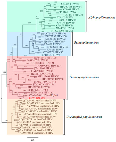 Viral Metagenomics Reveals a Putative Novel HPV Type in Anogenital Wart ...