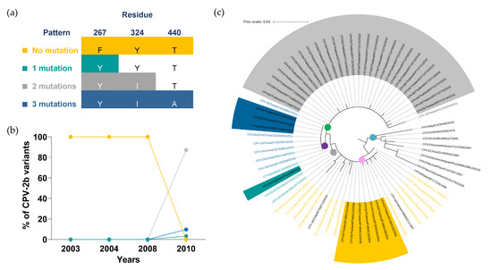 Tracing the Genetic Evolution of Canine Parvovirus Type 2 (CPV-2) in ...