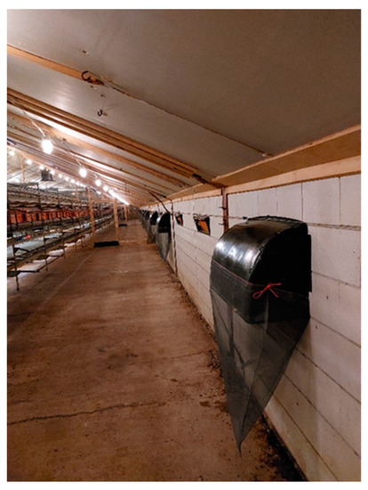 Monitoring Wind-Borne Particle Matter Entering Poultry Farms via the ...