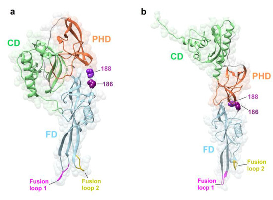 Pathogens | Free Full-Text | Evolution of Rabies Virus Isolates ...