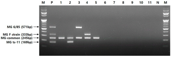 A Multiplex PCR Assay for Differential Identification of Wild-type and ...