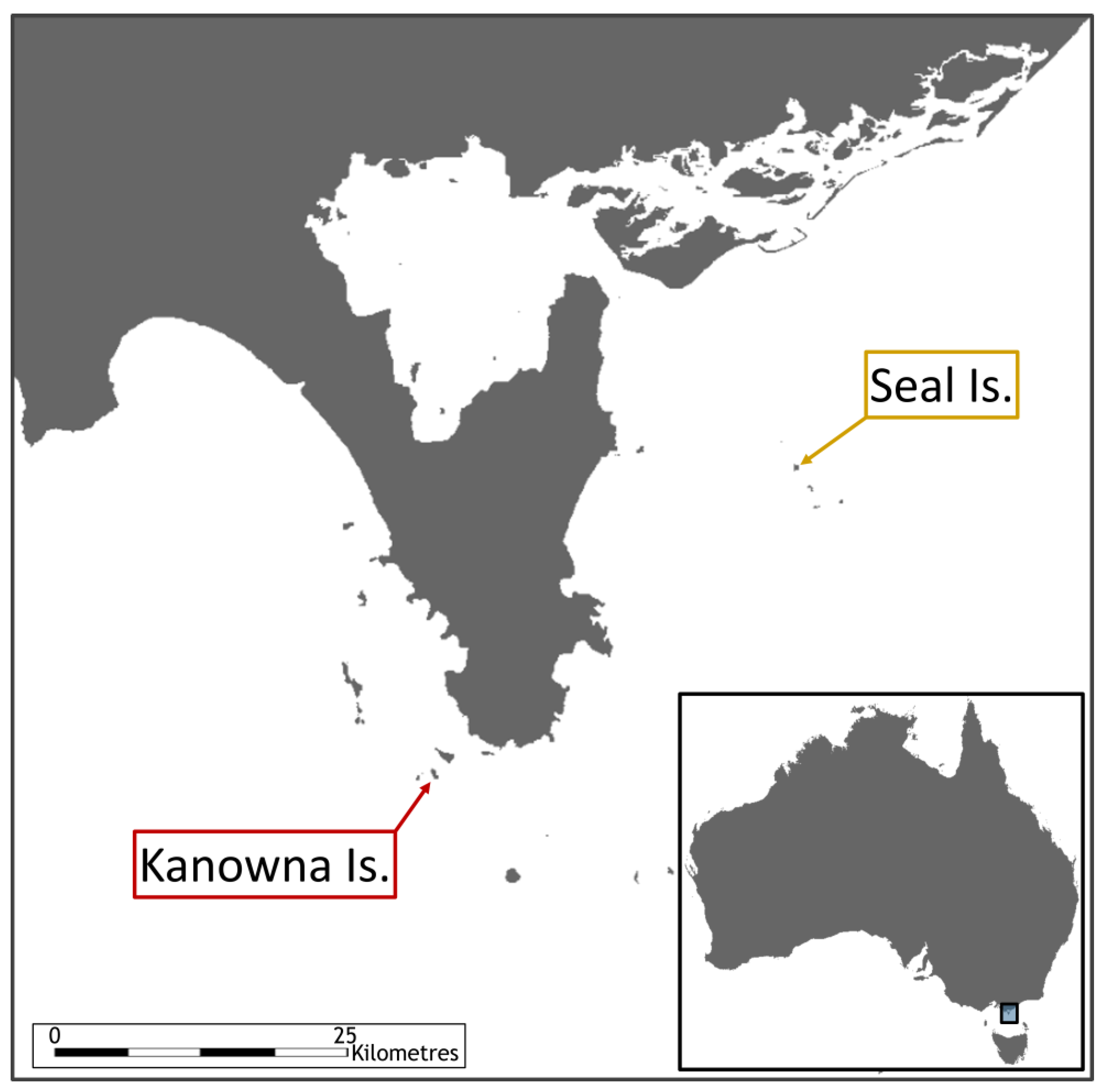 Pacific Gulls (Larus pacificus) as Potential Vectors of Coxiella ...