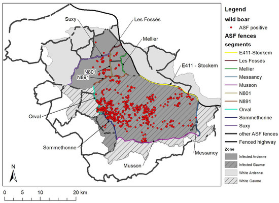 Management of a Focal Introduction of ASF Virus in Wild Boar: The ...