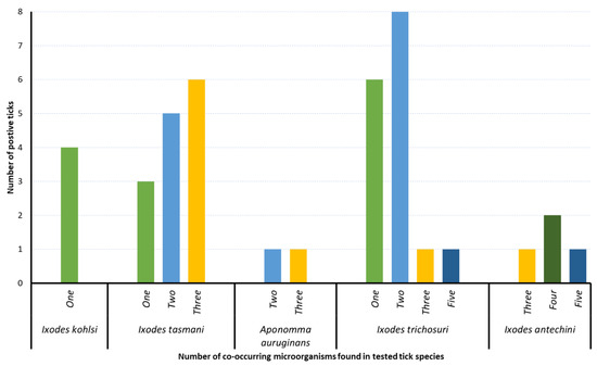 Unravelling the Diversity of Microorganisms in Ticks from Australian ...