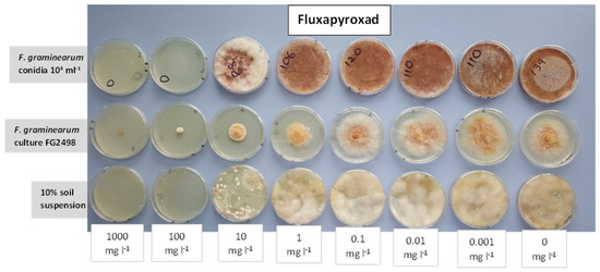Screening of Fungicides and Comparison of Selective Media for Isolation ...