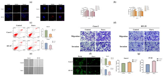 Integrating Transcriptomics and Metabolomics to Explore the Novel ...