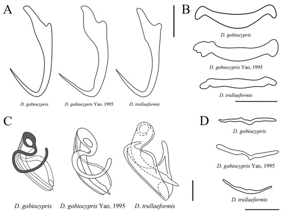 Morphological and Molecular Identification of Dactylogyrus gobiocypris ...