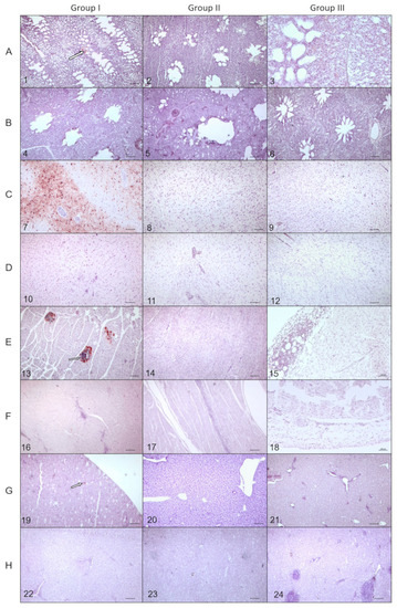 Homo- and Heterosubtypic Immunity to Low Pathogenic Avian Influenza ...