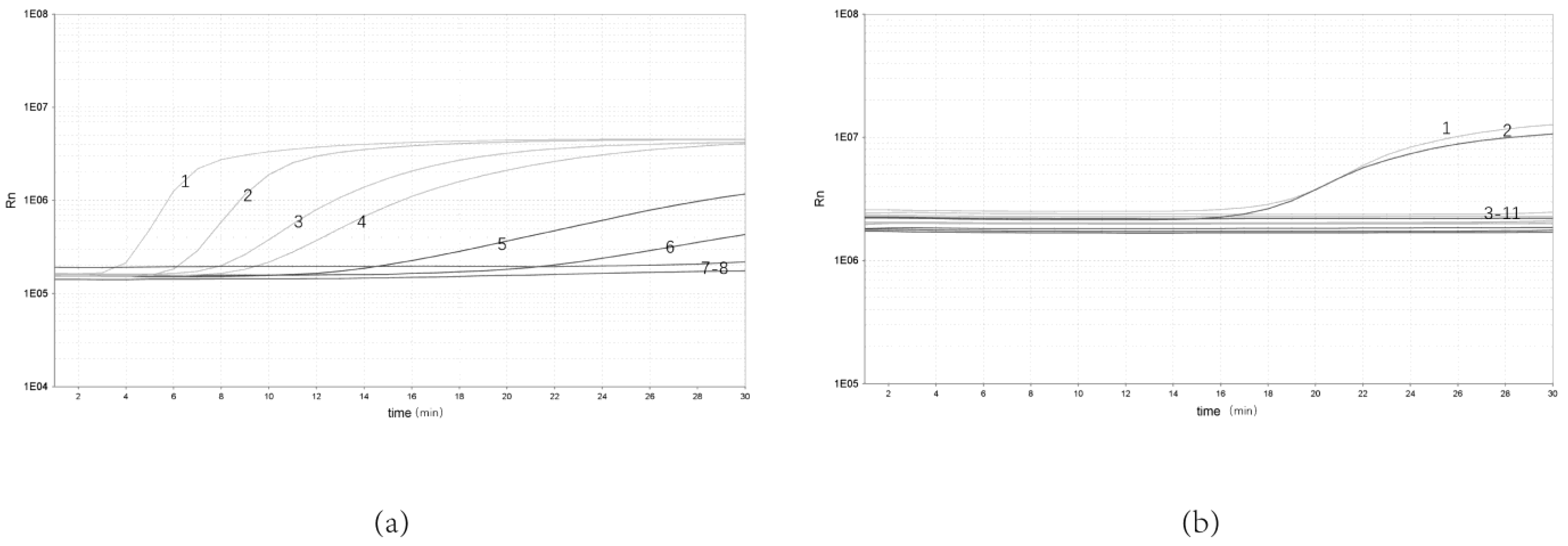 Establishment of a Real-Time Recombinase Polymerase Amplification for ...